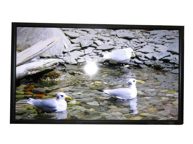 SHRAP 60インチ インフォメーションディスプレイ PN-E602(24インチ～)｜売買されたオークション情報、yahooの商品情報を ...