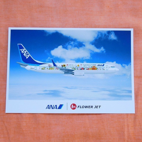 ANA フラワージェット B737-800 Flower Jet 全日空 ポストカード 絵はがき 絵葉書 Postcard エアライングッズ ...