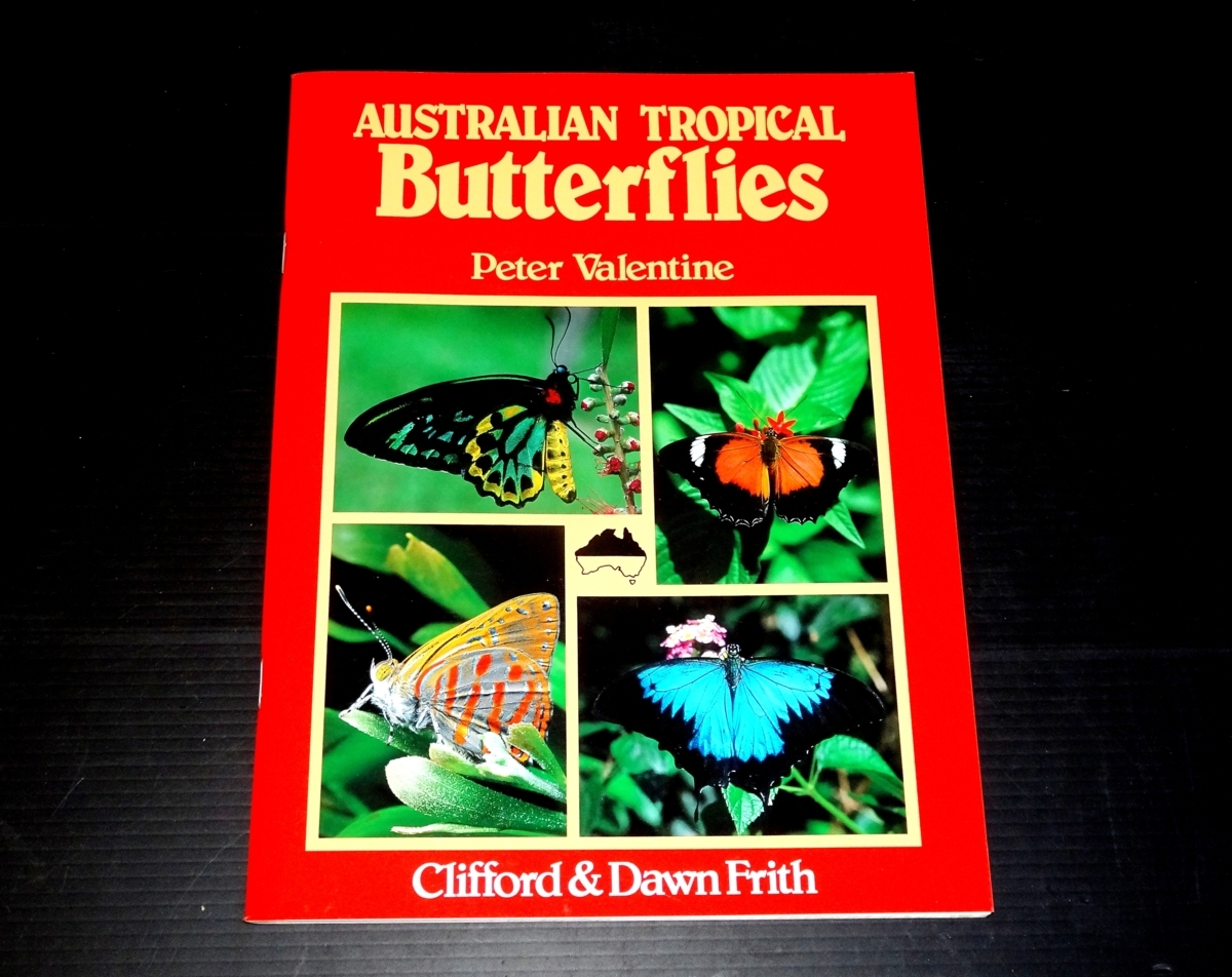Australian Tropical Butterflies Peter Valentine(昆虫)｜売買されたオークション情報、yahoo ...