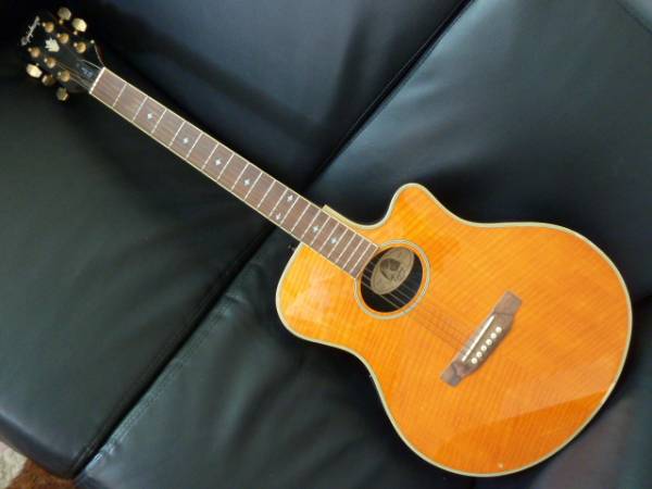 Epiphone エピフォン El-Rio ジャンク(エピフォン)｜売買されたオークション情報、yahooの商品情報をアーカイブ公開 ...