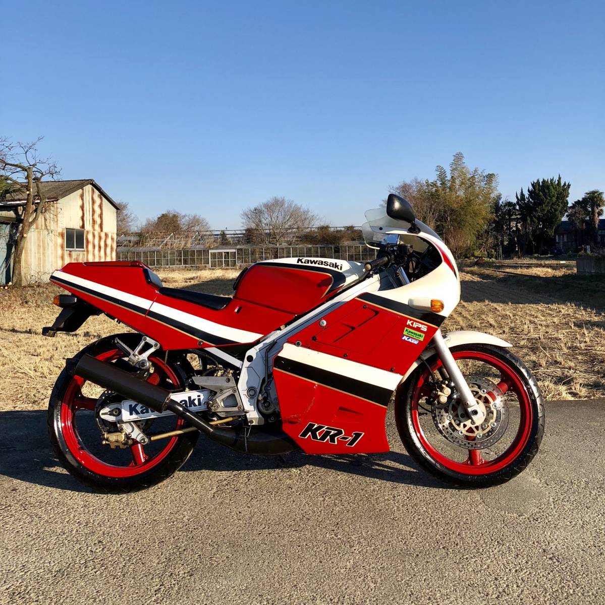 カワサキ KR-1 赤 フルカウル 珍車 な1台 実動 書類付き 1988年 KR KSR KH ZZ-R KM KR-1 FZR CBR ...