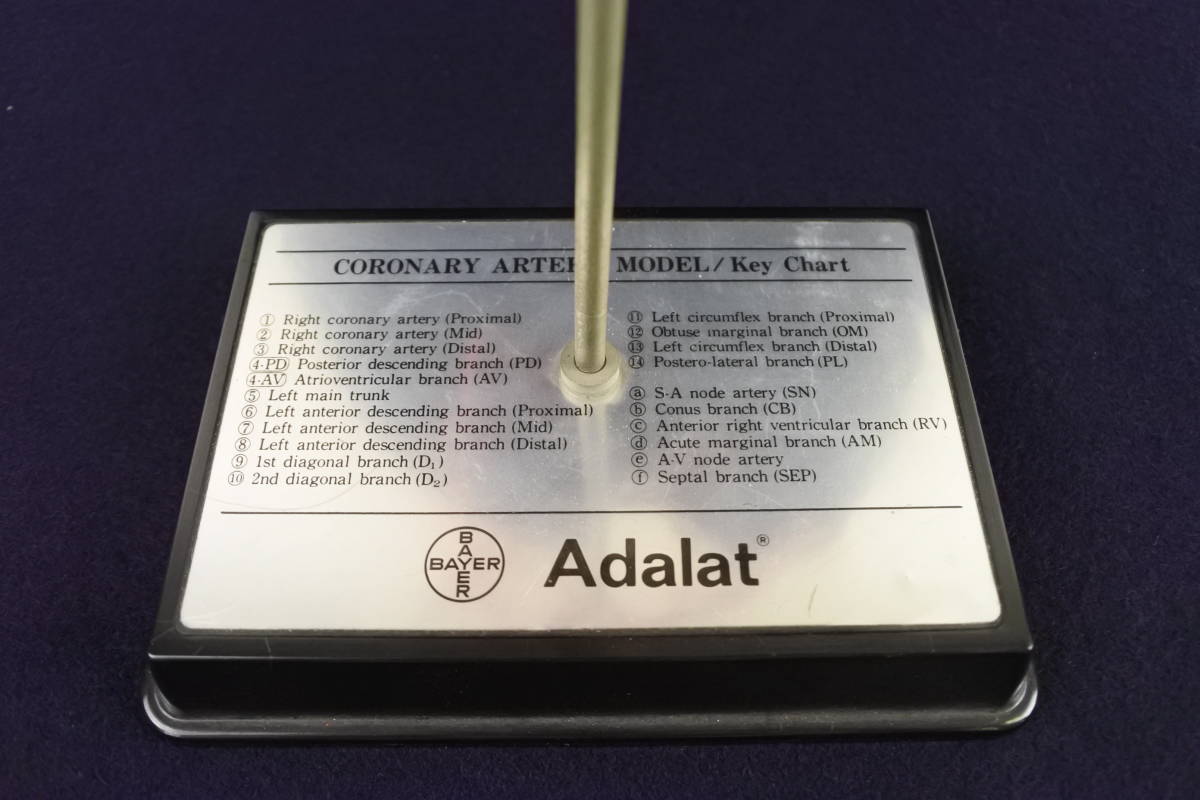 Adalat BAYER バイエル kyoto KAGAKU 冠動脈 模型 心臓 血管 薬品 京都化学 レア(オブジェ)｜売買された ...