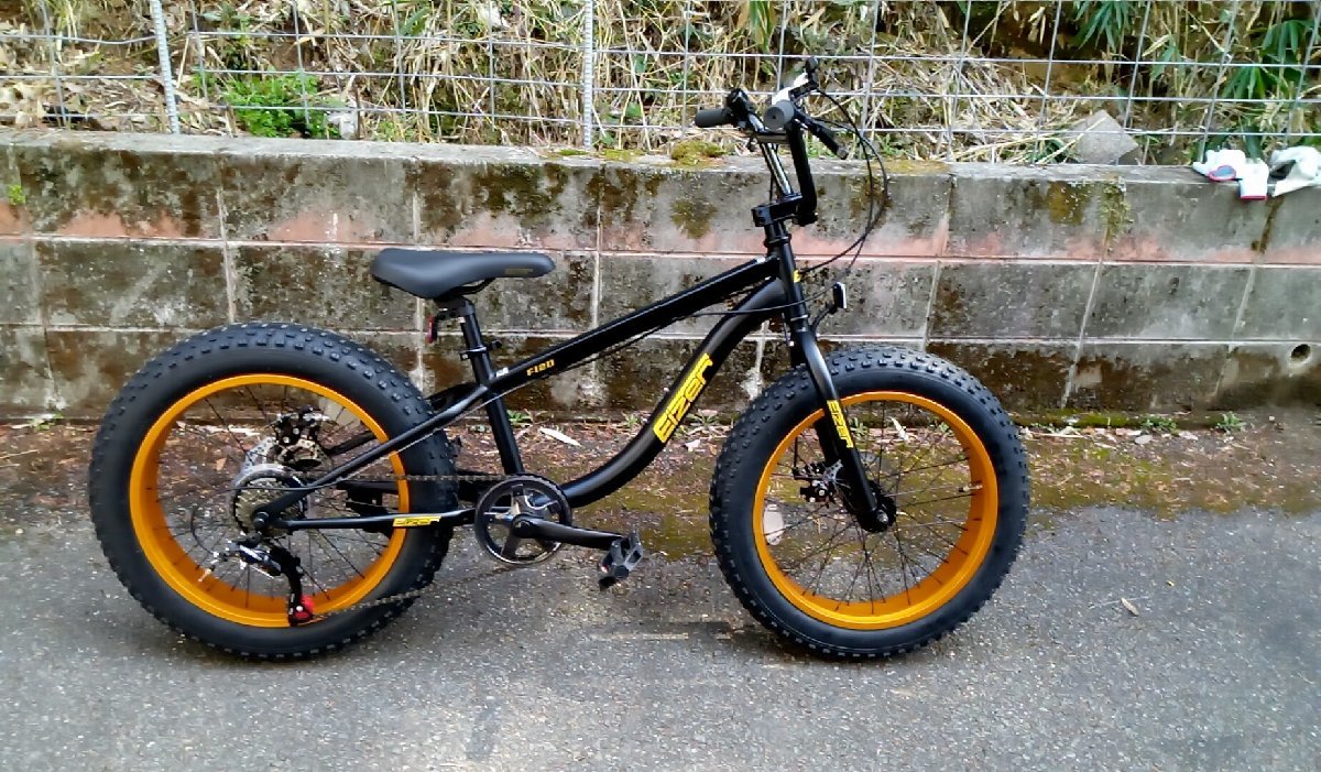 107 迫力の極太 EIZERアイゼルF120 ファットバイク Wディスクブレーキ 3D立体フレーム シマノ7速 20インチ GOLDENリム仕様(ビーチクルーザー)｜売買されたオークション ...