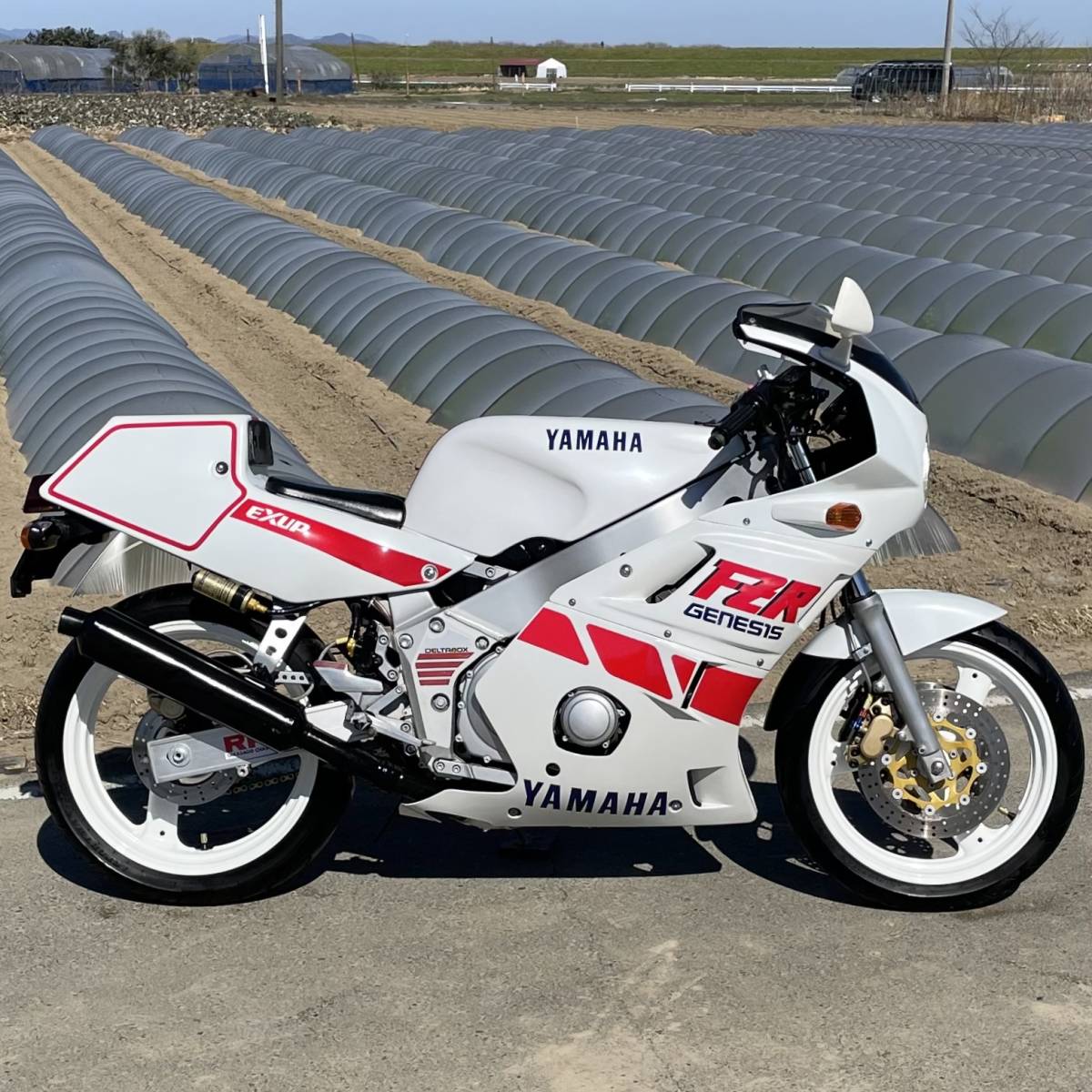 FZR400R 実動 書類付き 1WG 車検R6年7月迄 美車 平成2年 限定車 絶版 ヤマハ 検 FZR 2TK GSX GPZ ZXR ...