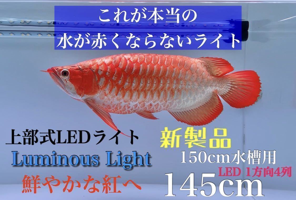 上部 水や底背面が赤くならない アロワナ ルミナスライト145cm(アロワナ)｜売買されたオークション情報、yahooの商品情報をアーカイブ公開 - オークファン（aucfan.com）