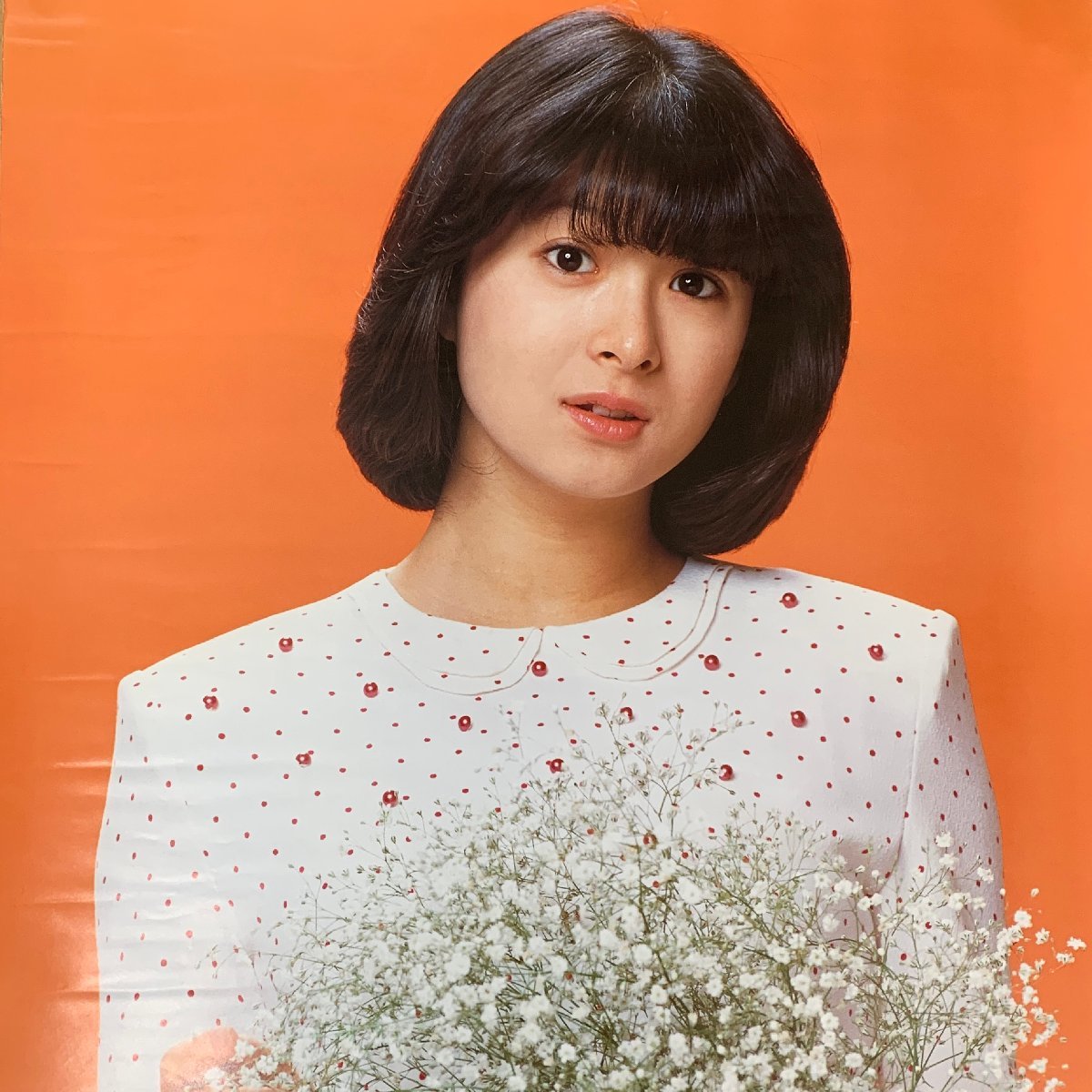 河合奈保子 B2ポスター カスミソウ コロンビア＜51.5×72.8cm＞(か行)｜売買されたオークション情報、yahooの商品情報をアーカイブ公開 - オークファン（aucfan.com）