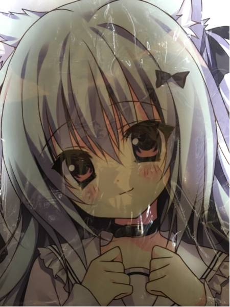 LOOPTHELOOP へるるん C87 抱き枕カバー CIMIC1 9 コミケ87(抱き枕)｜売買されたオークション情報、yahooの商品情報をアーカイブ公開 - オークファン（aucfan ...