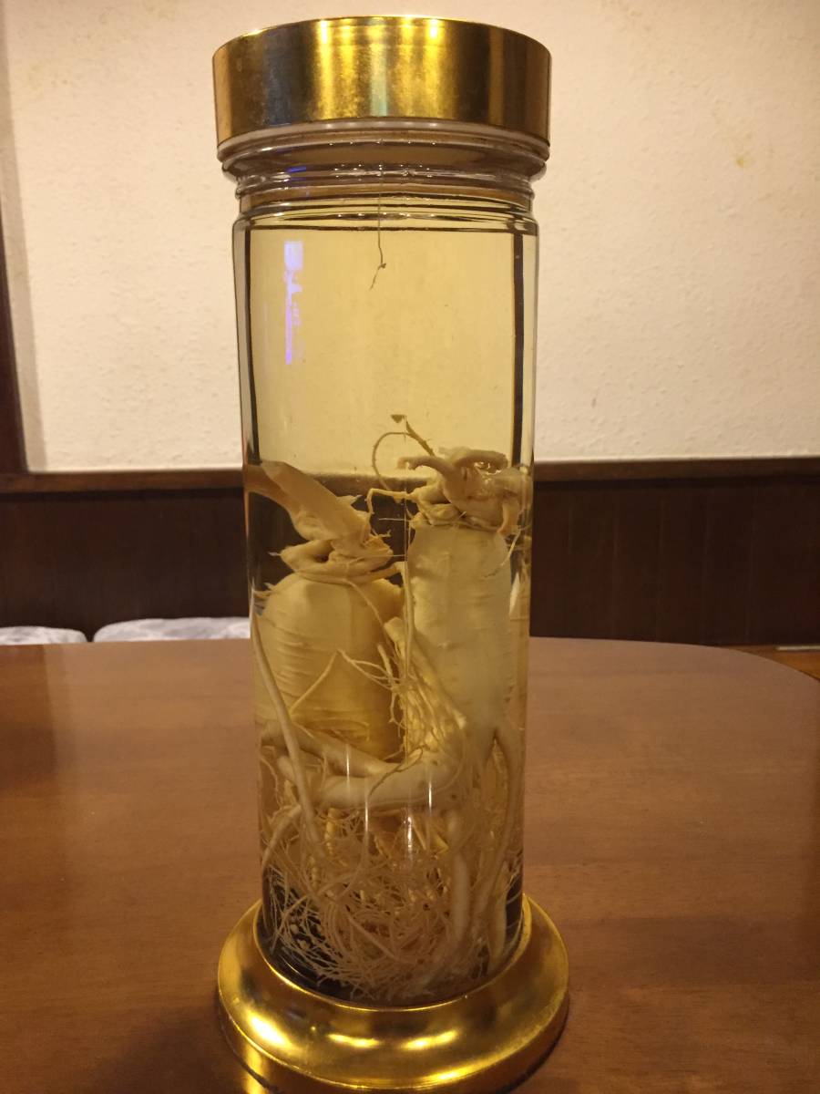 高麗人参酒1.8L(焼酎)｜売買されたオークション情報、yahooの商品情報をアーカイブ公開 - オークファン（aucfan.com）