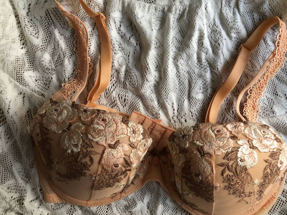 トリンプ ポアモア pour moi ブラジャー C75(その他)｜売買されたオークション情報、yahooの商品情報をアーカイブ公開 - オークファン（aucfan.com）