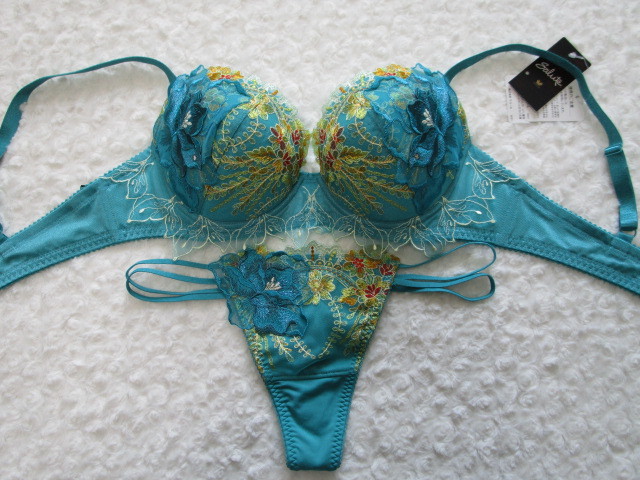 サルート 黄龍 E70＆ソングM BSワコール17(70)｜売買されたオークション情報、yahooの商品情報をアーカイブ公開 - オークファン（aucfan.com）