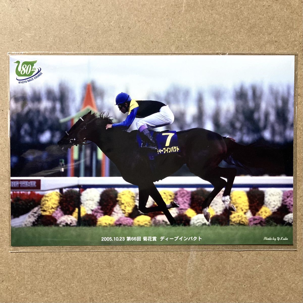 JRA 京都競馬場ファンクラブ 生写真 ディープインパクト 2005年 第66回 菊花賞 GⅠ 非売品(競馬)｜売買されたオークション情報、yahooの商品情報をアーカイブ公開 ...