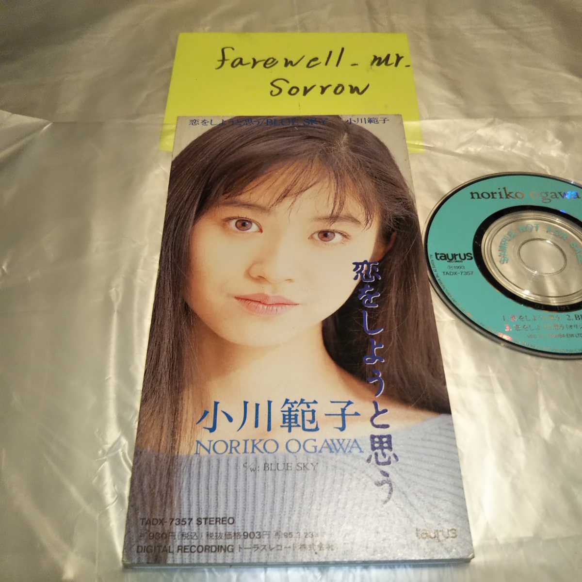 小川範子 恋をしようと思う 見本盤 8cmCDシングル BLUE SKY 短冊型 8cm 8センチ CD 遠藤京子 若草恵 平成アイドル(小川範子)｜売買されたオークション情報、yahooの ...