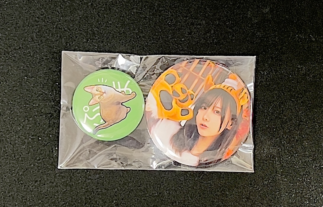 けんけん C99 2022年カレンダー ポストカード 缶バッジ 手提げ袋 セット コミケ コスホリ コスケット 同人誌 けんけんぱ 写真集 ROM(その他)｜売買されたオークション情報 ...