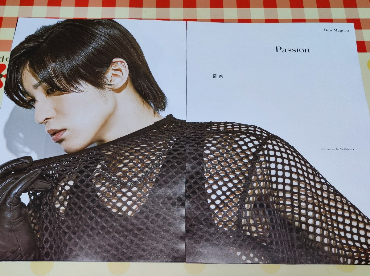 目黒蓮切り抜き11ページ TVガイドAlpha PPP vol.68(TVガイド)｜売買されたオークション情報、yahooの商品情報をアーカイブ公開 - オークファン（aucfan.com）