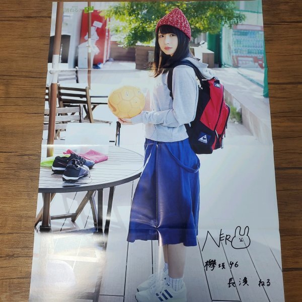 DK941 長濱ねる 尾関梨香 欅坂46 ポスター 雑誌付録(ミュージシャン)｜売買されたオークション情報、yahooの商品情報をアーカイブ公開 - オークファン（aucfan.com）