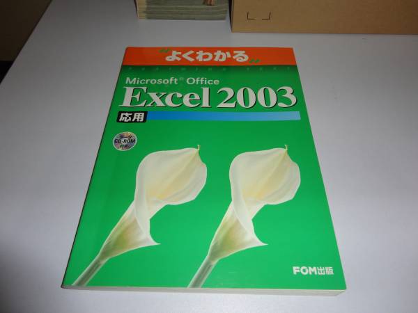 よくわかるMicrosoft Office Excel2003応用 CD付き(表計算)｜売買されたオークション情報、yahooの商品情報をアーカイブ公開 - オークファン（aucfan.com）