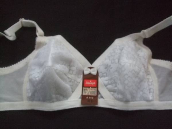レトロ トリンプ タグ付き ブラジャー B80(80以上)｜売買されたオークション情報、yahooの商品情報をアーカイブ公開 - オークファン（aucfan.com）