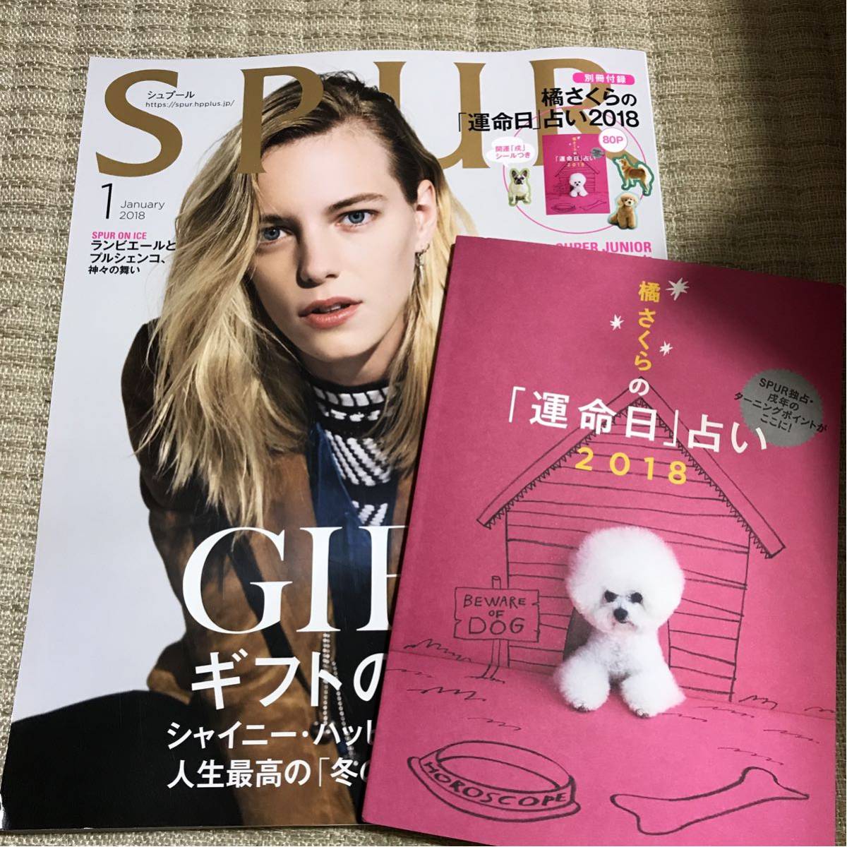 SPUR 1月 GIFT ギフトの天才 付録 橘さくらの運命日占い 2018(SPUR)｜売買されたオークション情報、yahooの商品情報をアーカイブ公開 - オークファン（aucfan.com）