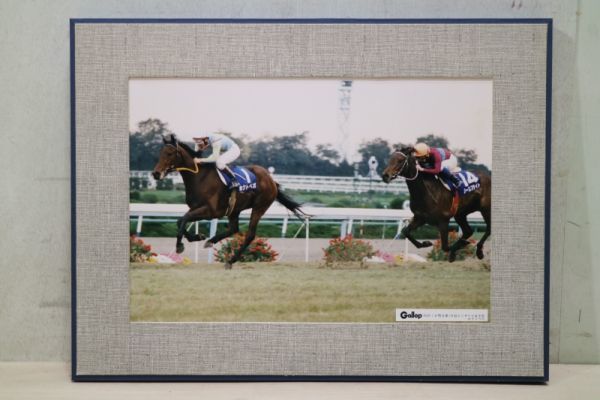 Zc810 サンケイスポーツ 週刊 ギャロップ 93 GⅠ エリザベス女王杯 ホクトベガ(その他)｜売買されたオークション情報、yahooの ...