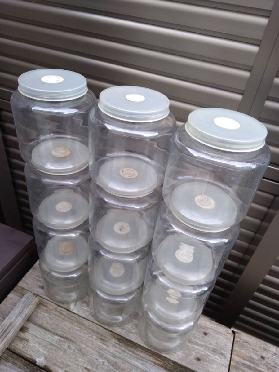 2300ボトル12本(飼育ケース)｜売買されたオークション情報、yahooの商品情報をアーカイブ公開 - オークファン（aucfan.com）