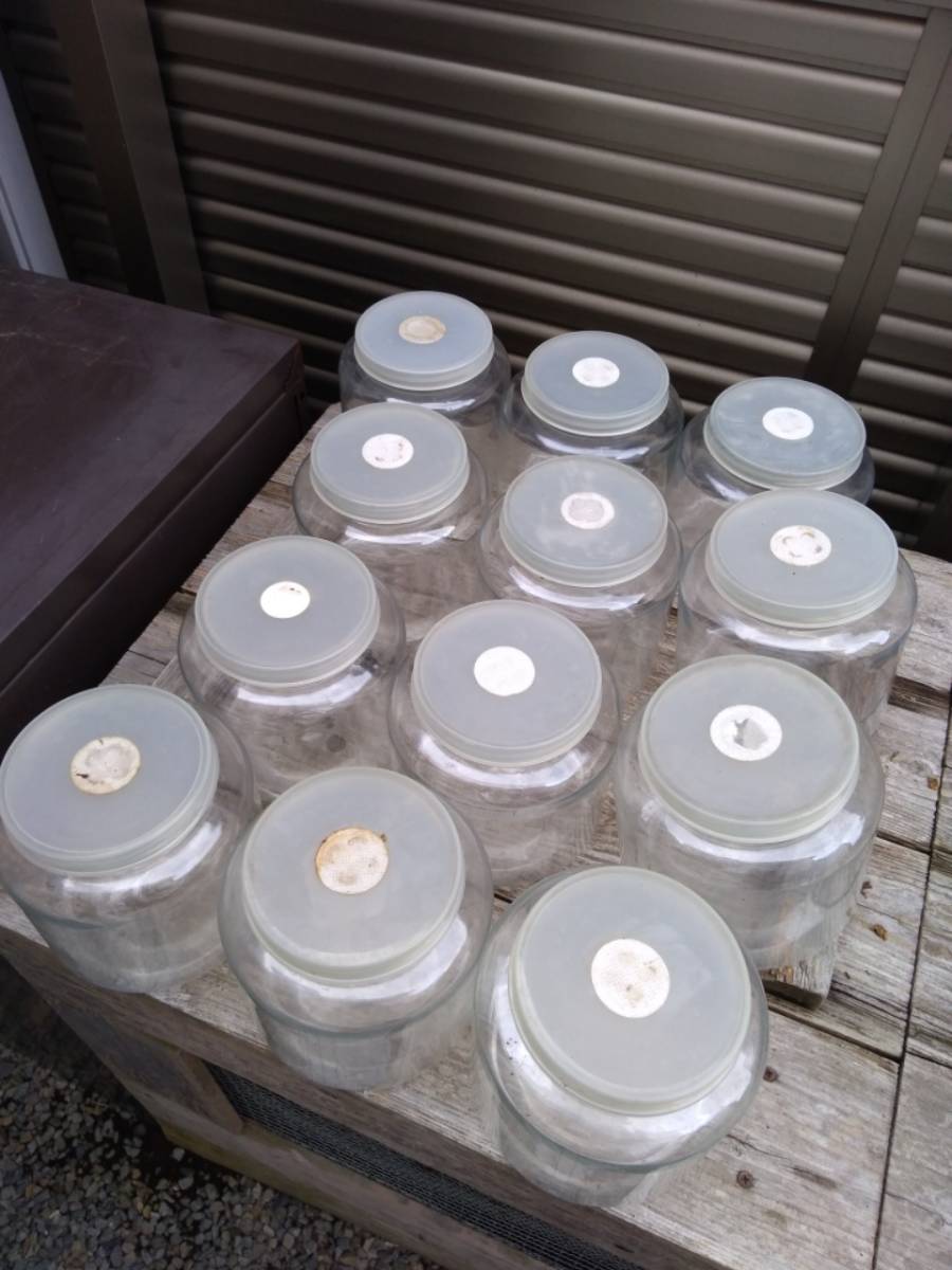 2300ボトル12本(飼育ケース)｜売買されたオークション情報、yahooの商品情報をアーカイブ公開 - オークファン（aucfan.com）