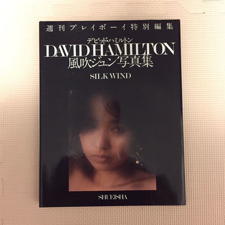 7 写真集 週刊プレイボーイ特別編集 デビッドハミルトン 風吹ジュン写真集 SILKWIND 写真参照 1円スタート(その他)｜売買されたオークション情報、yahooの商品情報をアーカイブ公開 ...