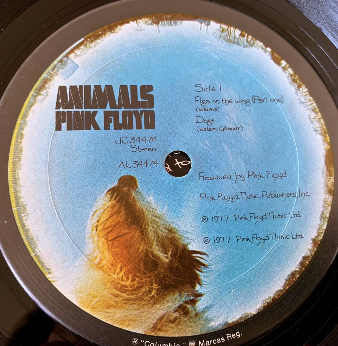 Pink Floyd Animals JC34474 USA Promo盤(Pink Floyd)｜売買されたオークション情報、yahooの ...