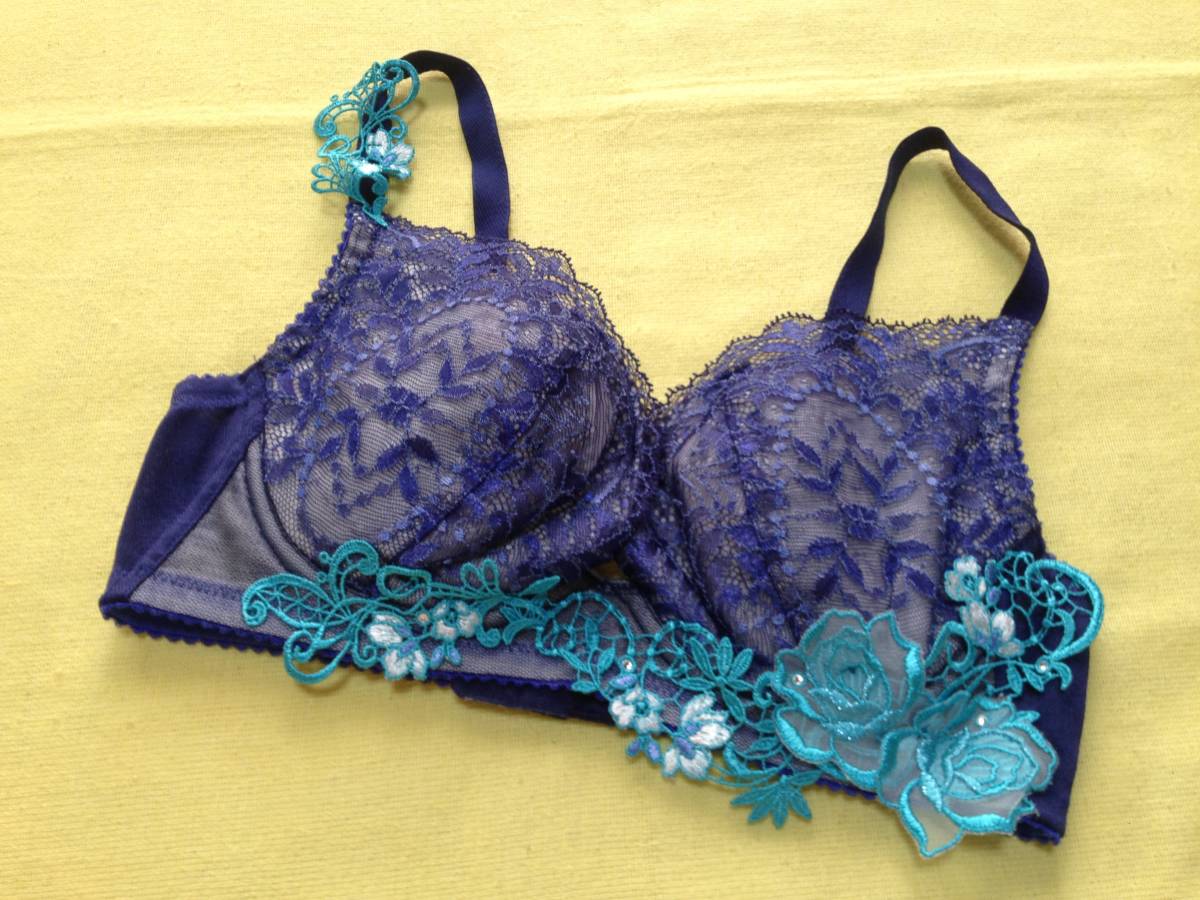 a58 ワコール サルート ブラジャー E65(Eカップ以上)｜売買されたオークション情報、yahooの商品情報をアーカイブ公開 - オークファン（aucfan.com）