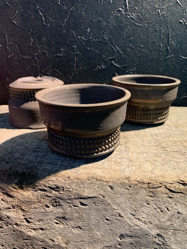 spicygem studs shallow basic brass / 鶴仙園 kakusenen caudex 塊根植物 コーデックスinvisibleink raw life ...