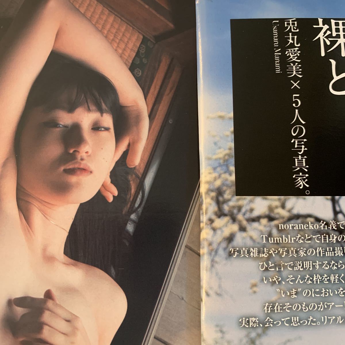 15 A67-3 兎丸愛美 切り抜き5ページ2015年 送料140(タレント)｜売買されたオークション情報、yahooの商品情報をアーカイブ公開 - オークファン（aucfan.com）