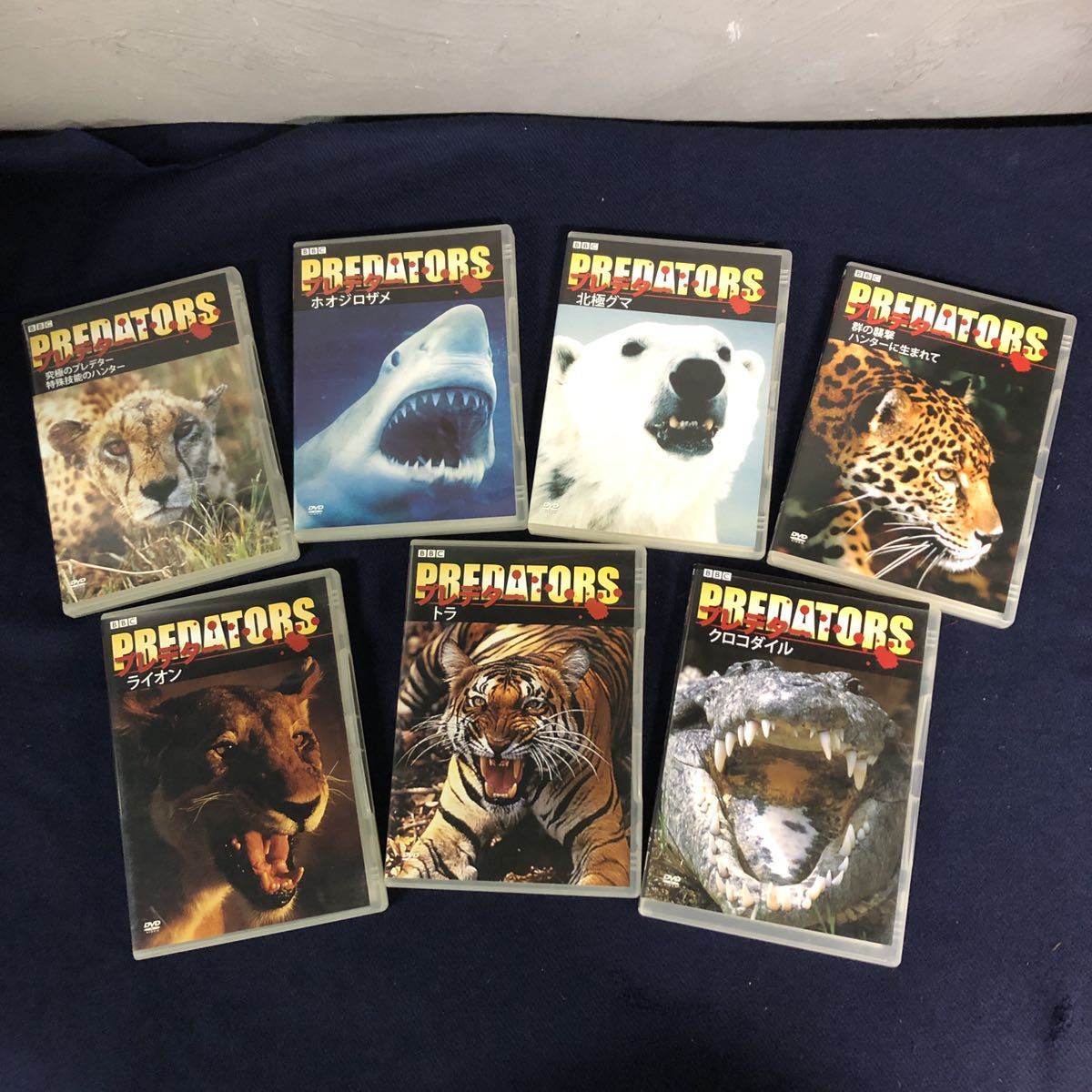 A-0-re プレデター PREDATORS 動物ドキュメンタリー DVD BBC製作 7巻 野生の動物好きな方オススメ(動物)｜売買されたオークション情報、yahooの商品情報をアーカイブ ...