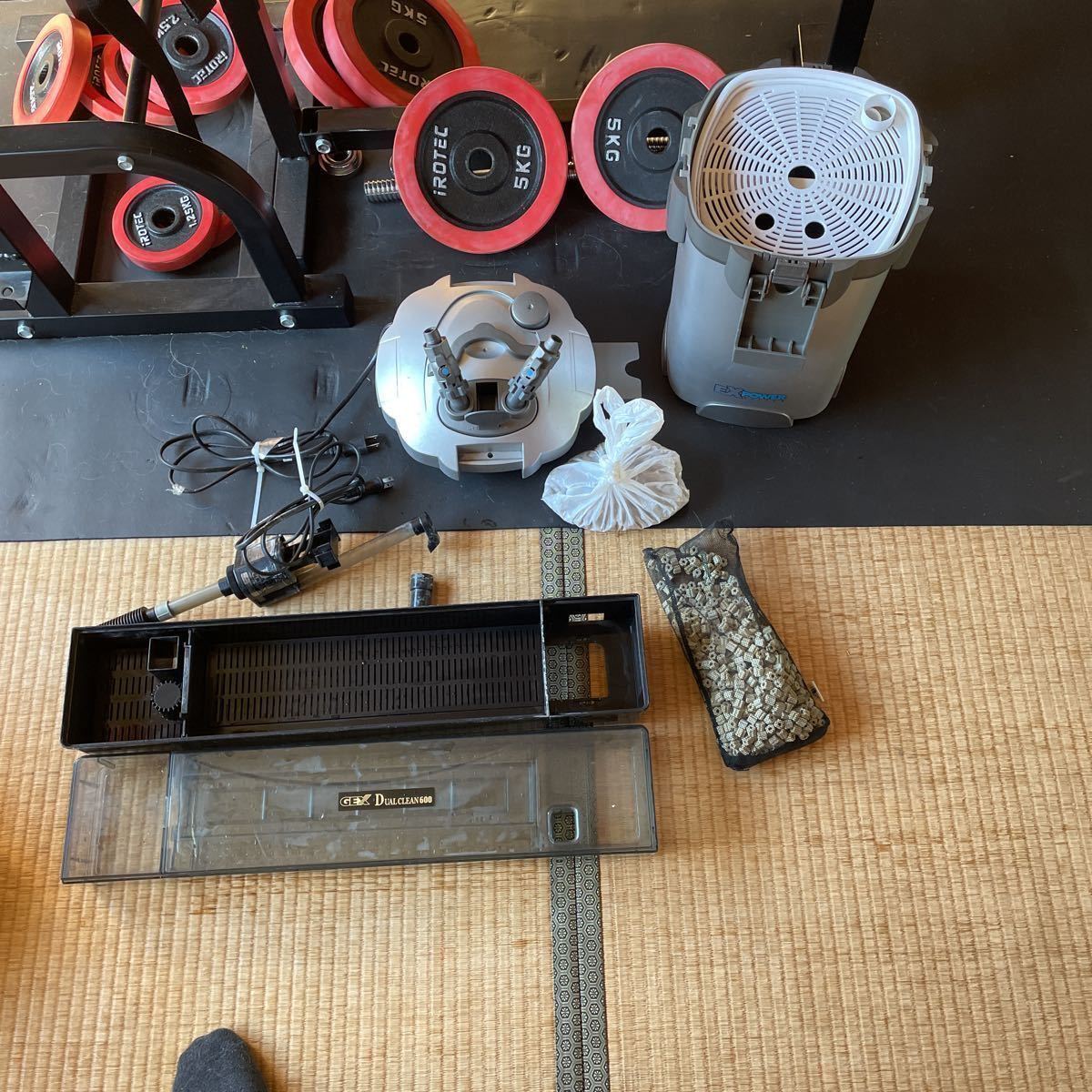 上部 外部フィルター スポンジフィルターなどまとめ売り テトラ GEX(その他)｜売買されたオークション情報、yahooの商品情報をアーカイブ公開 - オークファン（aucfan.com）