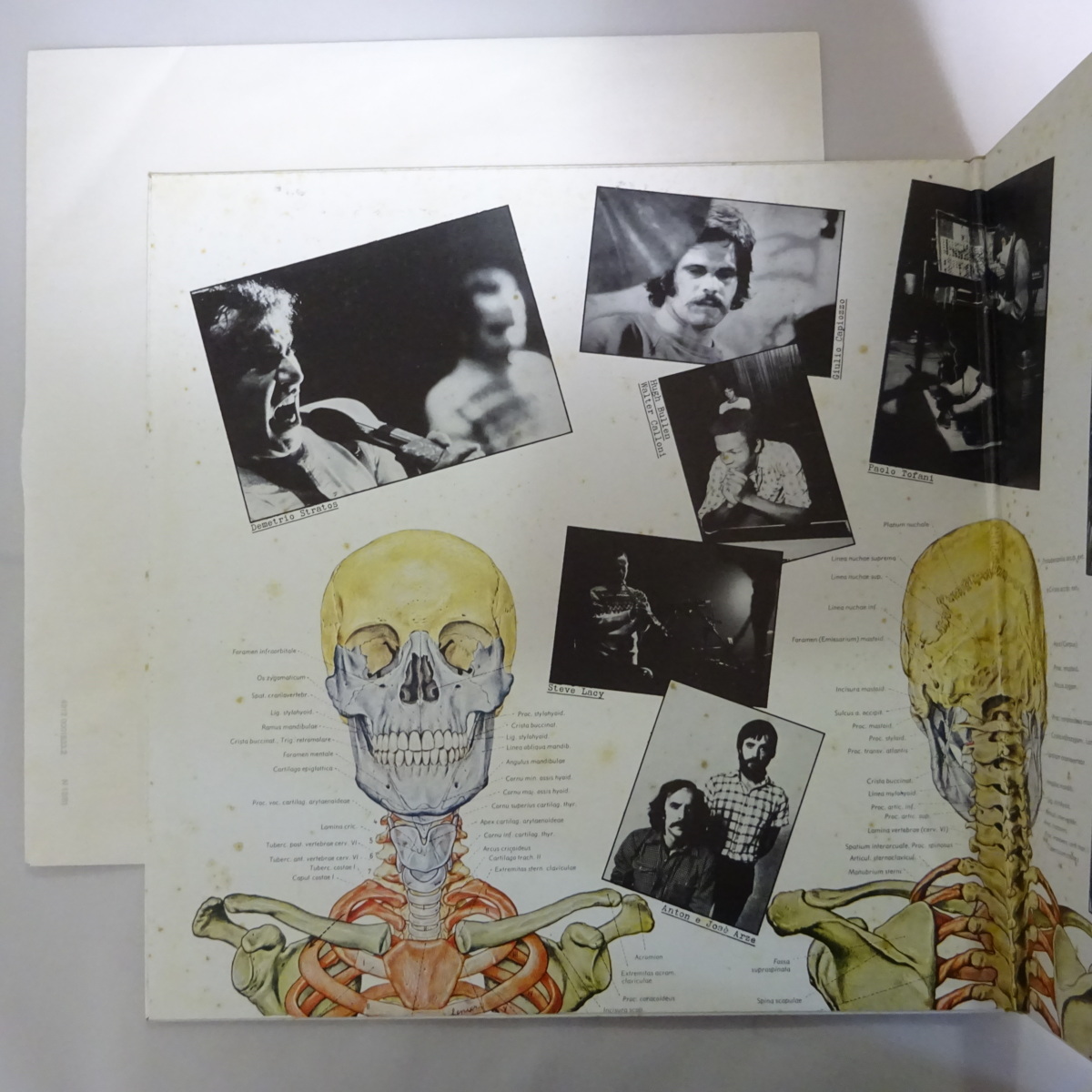 13064109; イタリア オリジナル Area / Maledetti Maudits(一般)｜売買されたオークション情報、yahooの ...