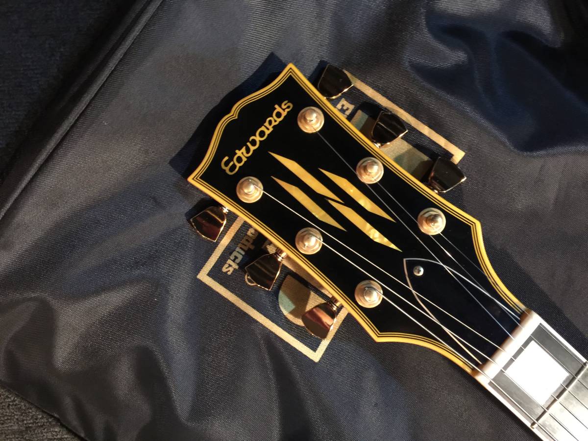 No.064722 生産完了 EDWARDS E-LP-113 LTS EB MADE IN JAPAN mint メンテ済み(ESP)｜売買 ...