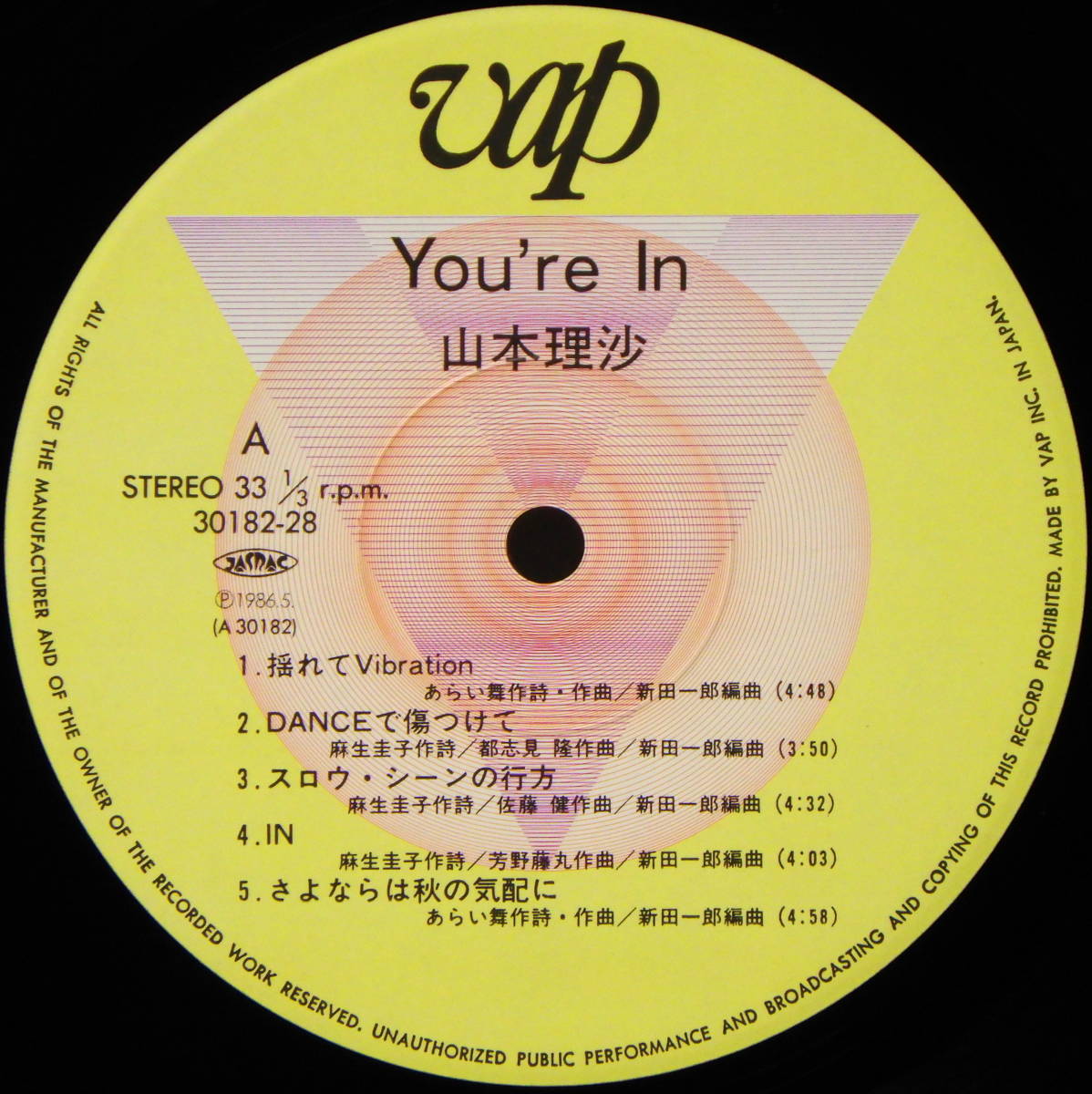 RARE 帯付 山本理沙 YOU'RE IN RISA YAMAMOTO VAP RECORDS 30182-28 WITH OBI(や行 ...