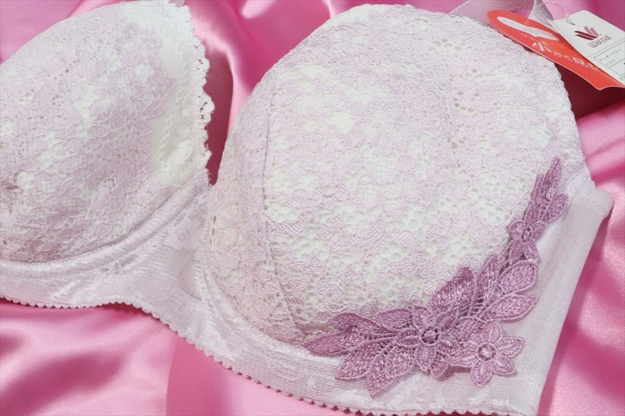 ワコール 小さく見せるブラ BRB402 E80 ピンク 刺繍(80以上)｜売買されたオークション情報、yahooの商品情報をアーカイブ公開 - オークファン（aucfan.com）