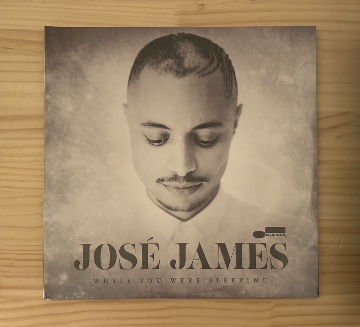 Jose James While You Were Sleeping 2枚組 LP Blue Note John Coltrane Solomon Dorsey 黒田卓也 Billie ...