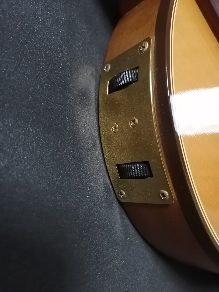 Gibson Chet Atkins Model CE Natural ギブソン チェット アトキンス モデル Solid Body ソリッド ...