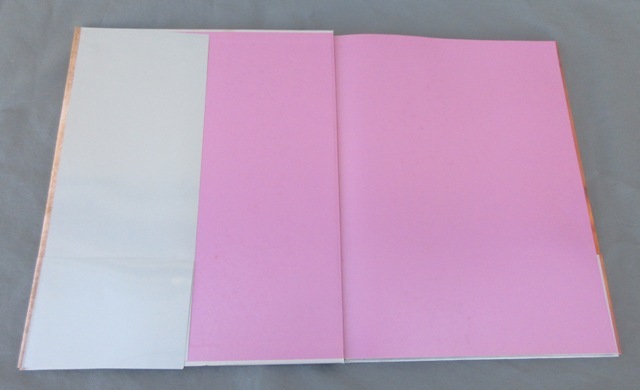 クリックポスト￥185 初版 帯付き 坂上香織 写真集 Violeta ビオレータ ヘアヌード(坂上香織)｜売買されたオークション情報、yahooの商品情報をアーカイブ公開 - オークファン ...