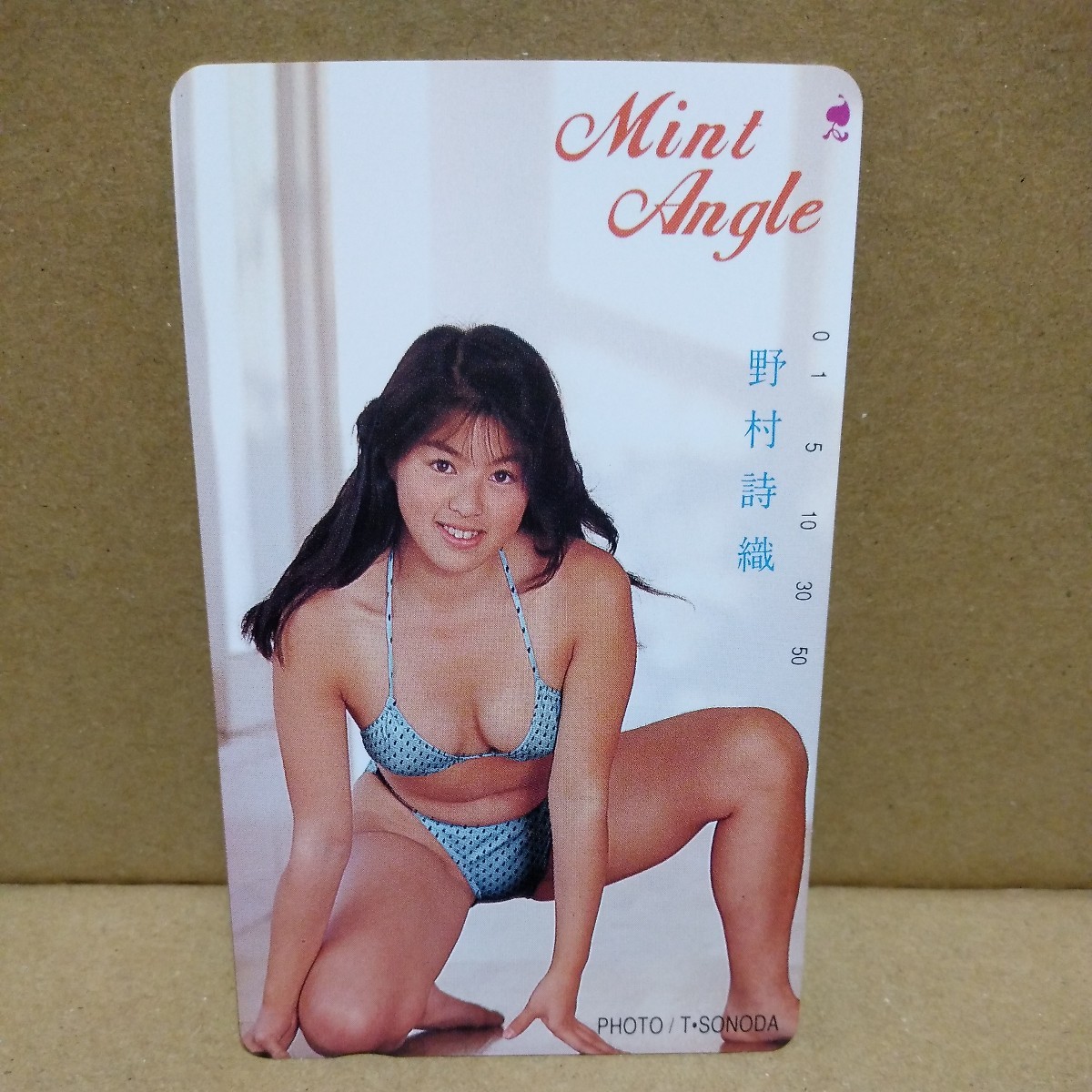 野村詩織 極小ビキニ姿 ミントエンジェル Mint Angel テレホンカード 非売品 notforsale 同梱は当日落札のみ お願いいたします(その他)｜売買されたオークション情報 ...