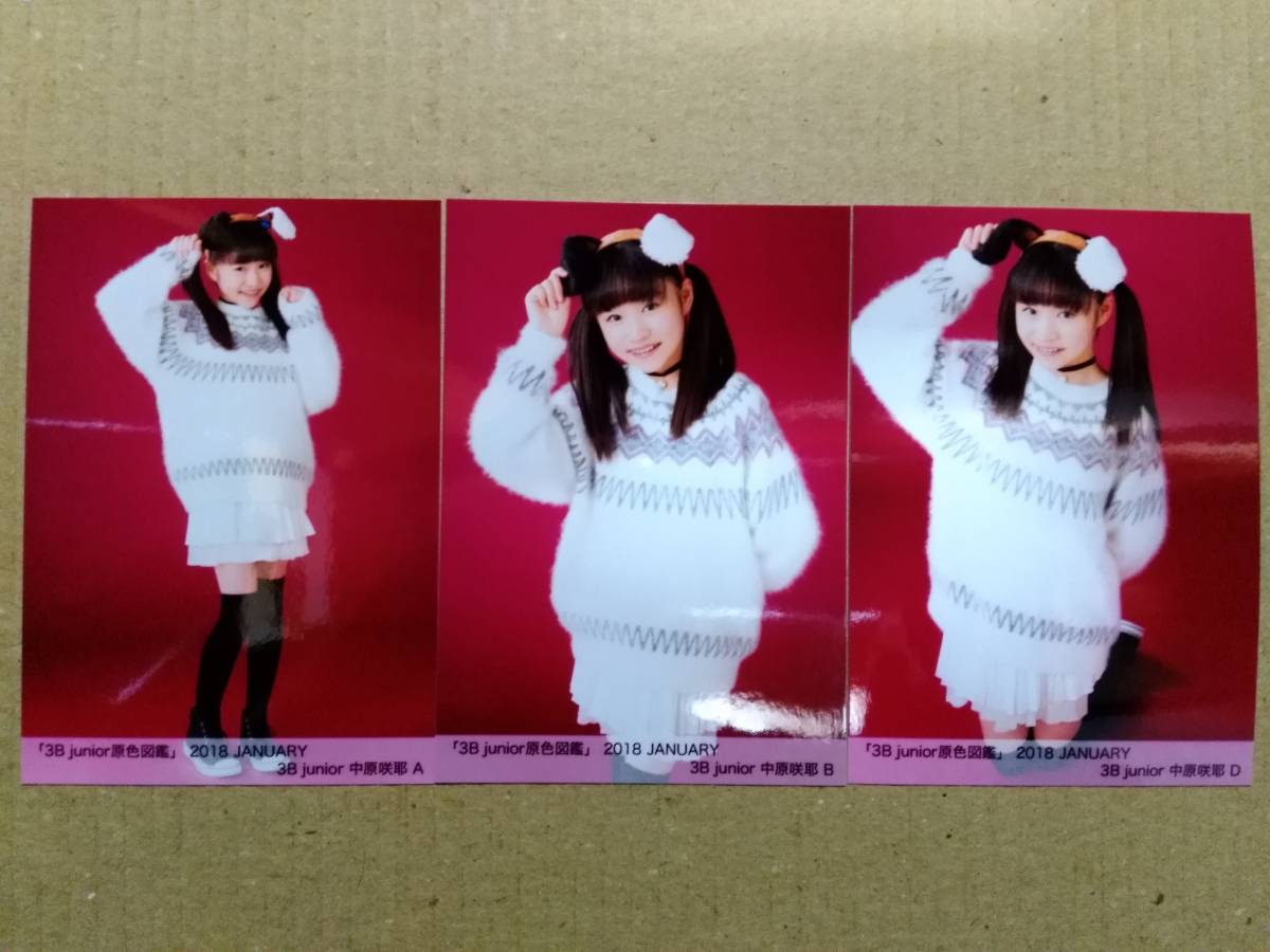 3B junior 原色図鑑 2018 JANUARY 1月 生写真 中原咲耶 ABD3種(さ行)｜売買されたオークション情報、yahooの商品情報をアーカイブ公開 - オークファン ...