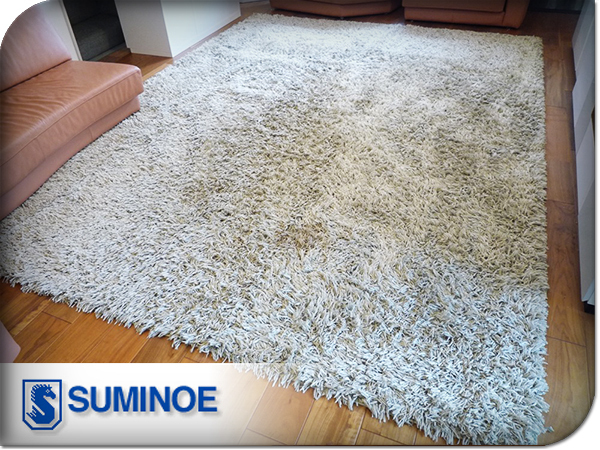 展示品 SUMINOE/住江織物 高級 スミトロン プレシャス モダンスタイル 大判 シャギーラグカーペット 21万 khh50f(シャギーラグ)｜売買されたオークション情報、yahooの商品 ...
