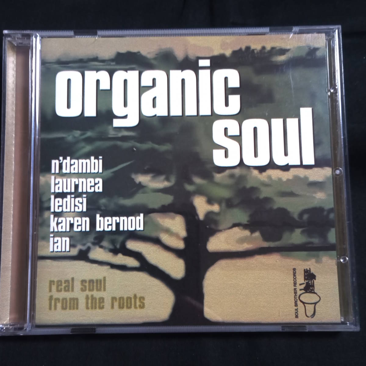 organic soul n'dambi laurnea ledisi karen bernod ian real soul from ...