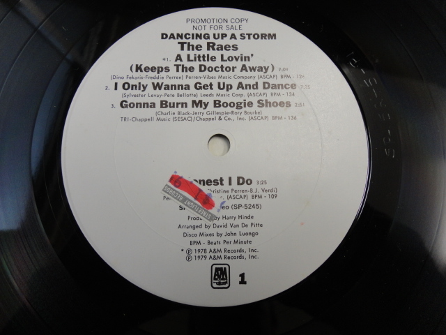 The Raes - Dancing Up A Storm オリジナル原盤 USLP DISCO名盤 A LITTLE LOVIN' / I ...