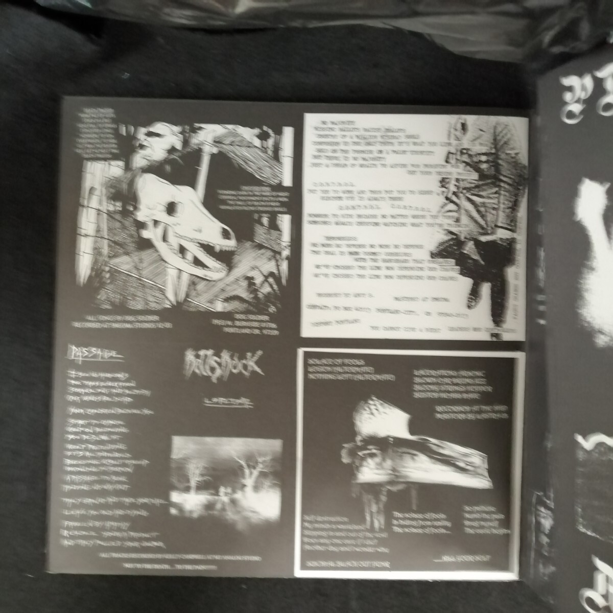 D04 LP レコード パンクオムニバス PORTLAND CITY HARD PUNK 2005 Dog soldier Assassinate Lebenden toten ...