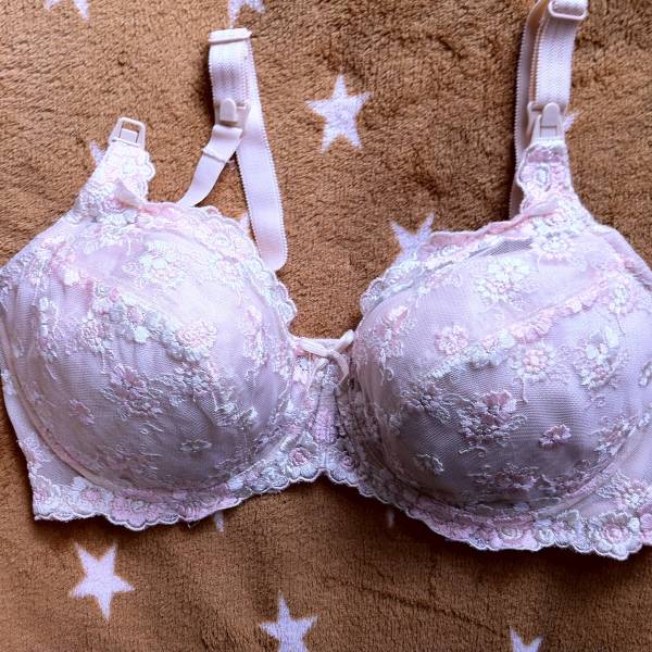 ピジョンウィル 授乳ブラ E70 使用少 USED(ブラジャー、ハーフトップ)｜売買されたオークション情報、yahooの商品情報をアーカイブ公開 - オークファン（aucfan.com）