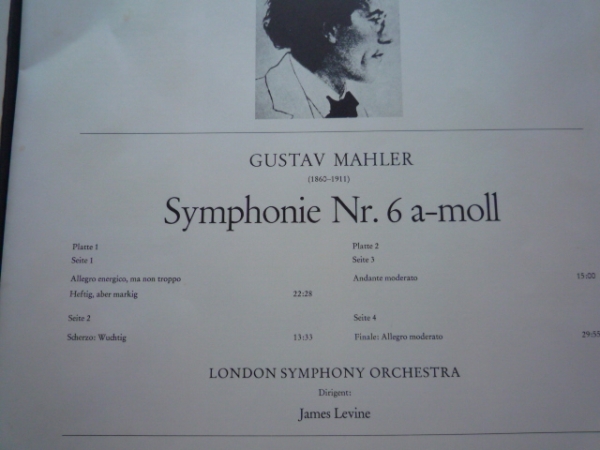 BU28 独盤2LP マーラー/交響曲第6番 レヴァイン 盤美(交響曲)｜売買されたオークション情報、yahooの商品情報をアーカイブ公開 - オークファン（aucfan.com）