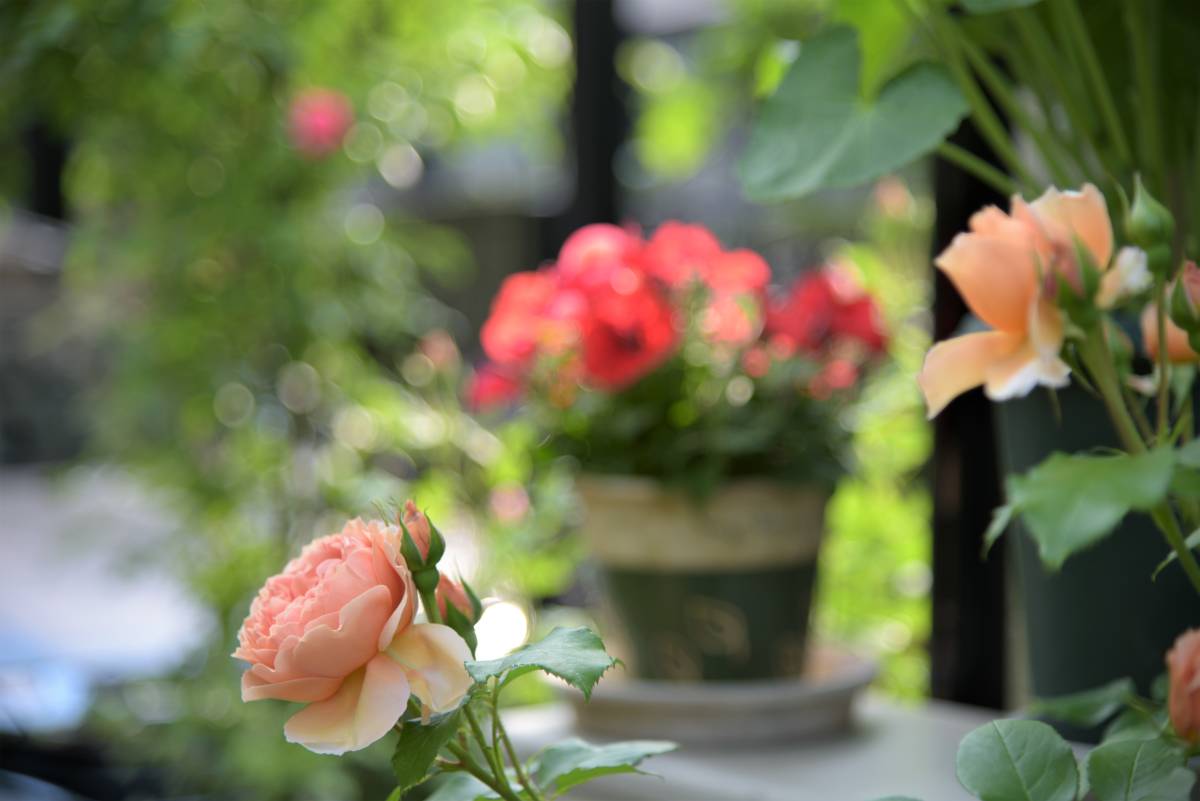 ニコン AF-S NIKKOR 24-120mm f/4G ED VR(ニコン)｜売買されたオークション情報、yahooの商品情報をアーカイブ公開 - オークファン（aucfan.com）