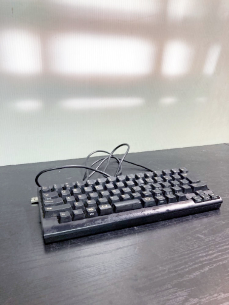 PFU Happy Hacking Keyboard Lite2 英語配列 USBキーボード KUH0010 E009(USBキーボード ...