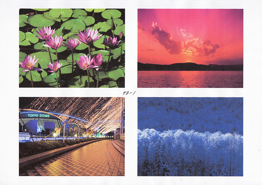 プリントヘッド1 QY6-0078 適合機種MP990/MG6130/MG6230/MG8130/MG8230(キヤノン)｜売買されたオークション情報、yahooの商品情報をアーカイブ公開 ...